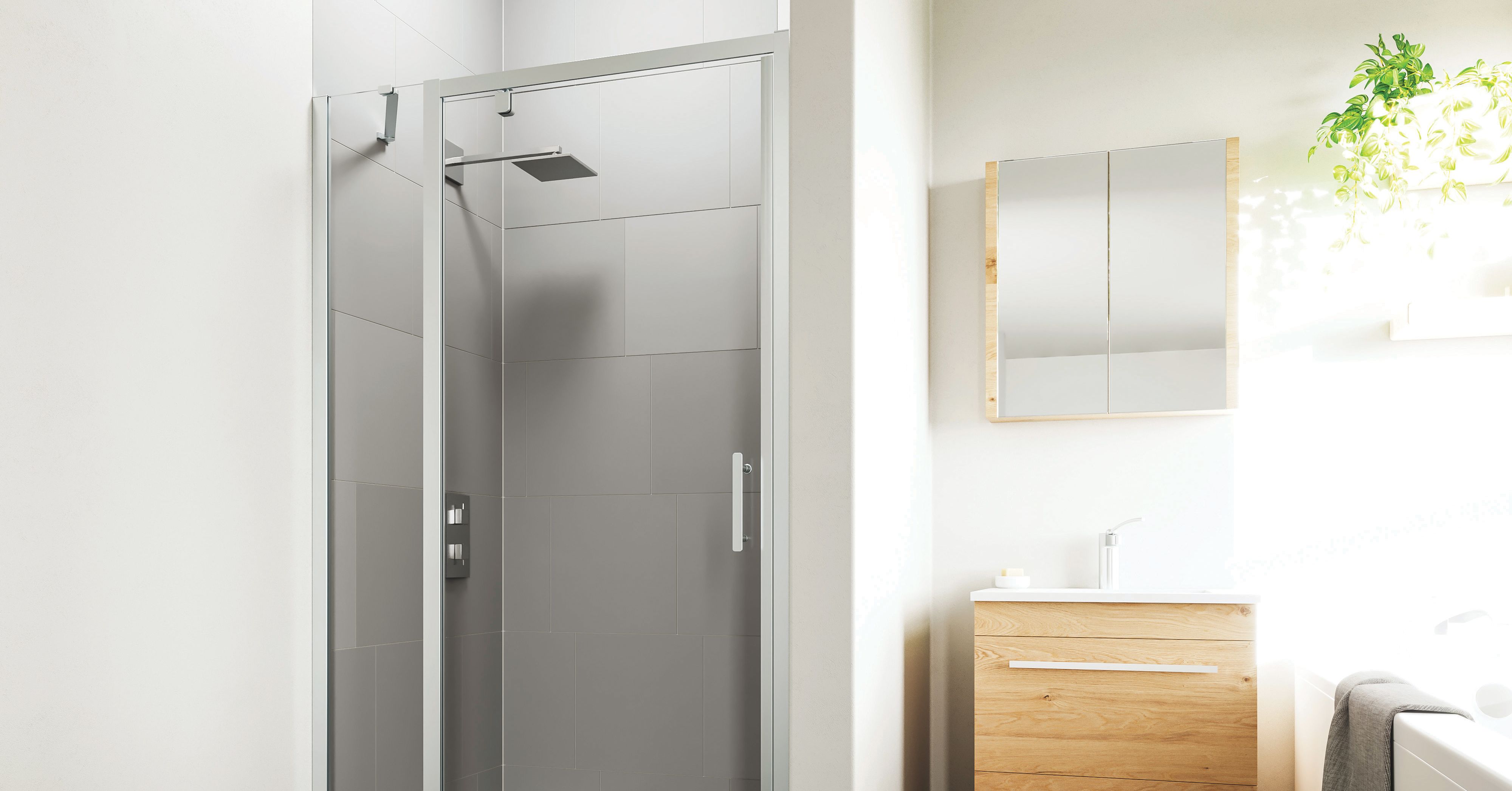The VERVE PRO Pivot Door with Inline Panel